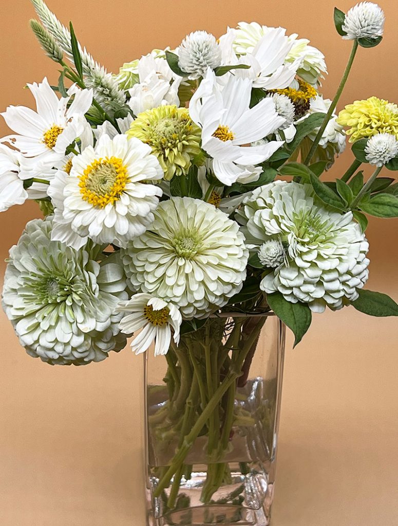 FRESHLY CUT STEMS – Farm fresh cut flowers