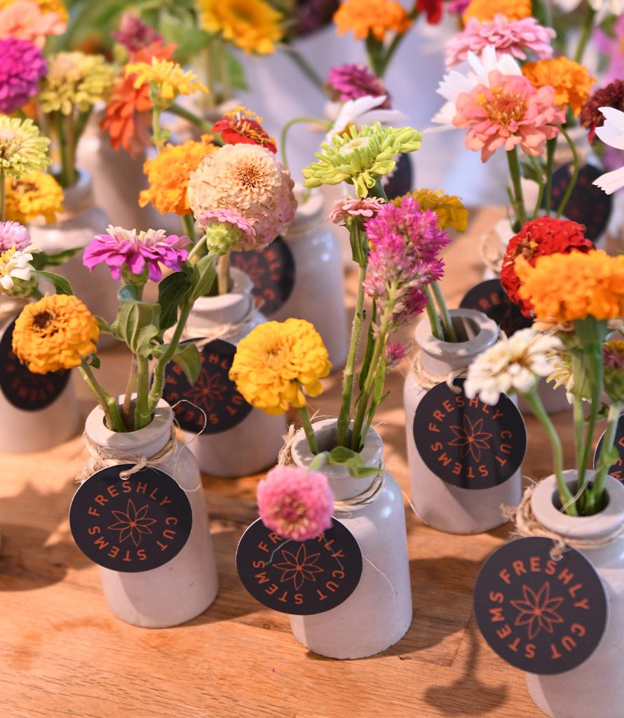 FRESHLY CUT STEMS – Farm fresh cut flowers