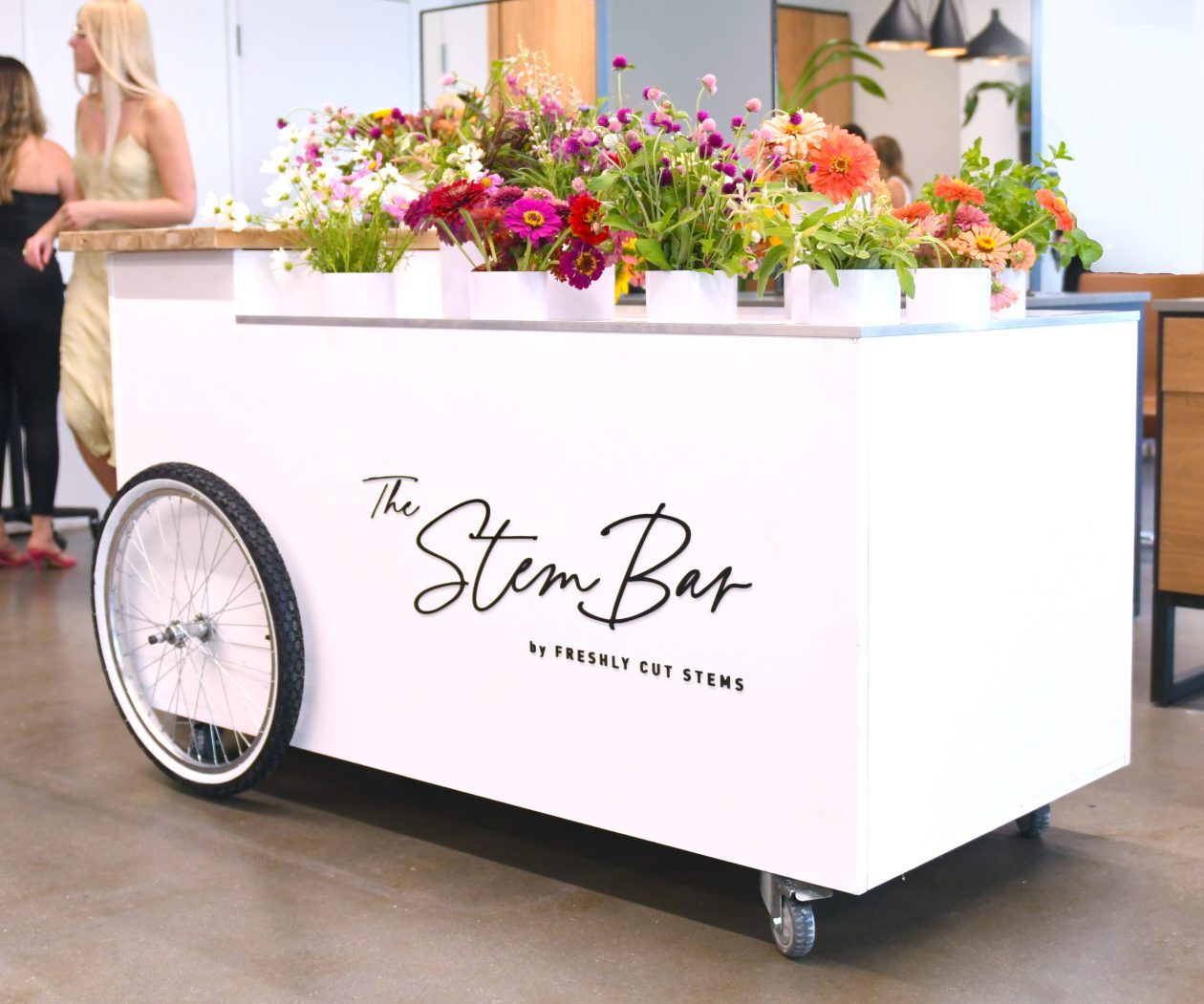 The Stem Bar – FRESHLY CUT STEMS