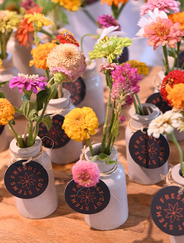 The Stem Bar – FRESHLY CUT STEMS