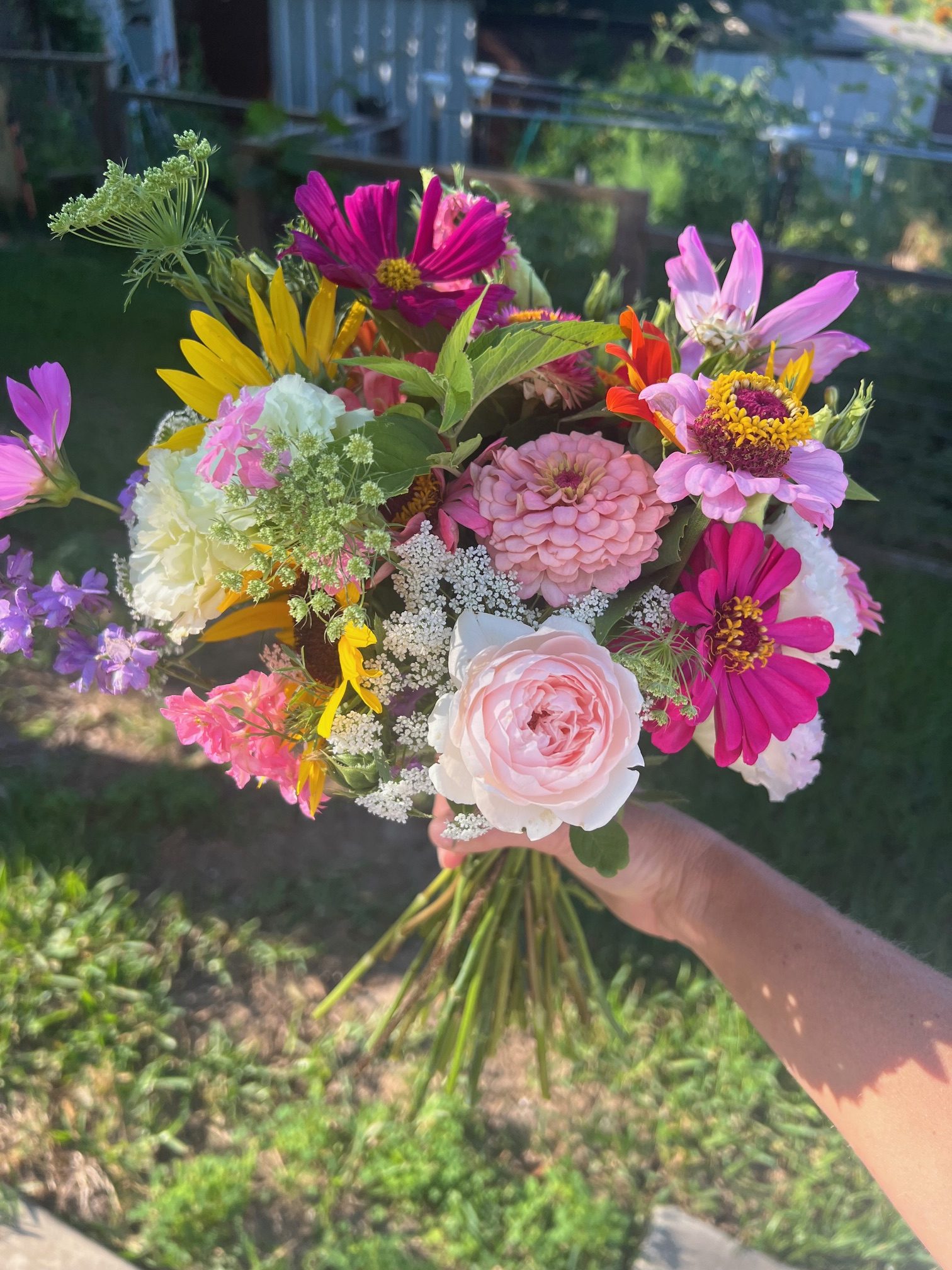 FRESHLY CUT STEMS – Farm fresh cut flowers