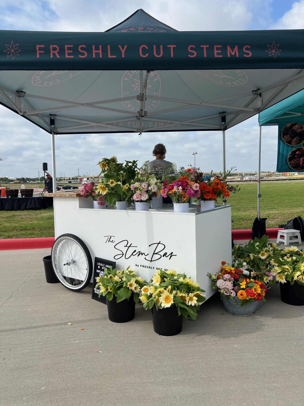 FRESHLY CUT STEMS – Farm fresh cut flowers