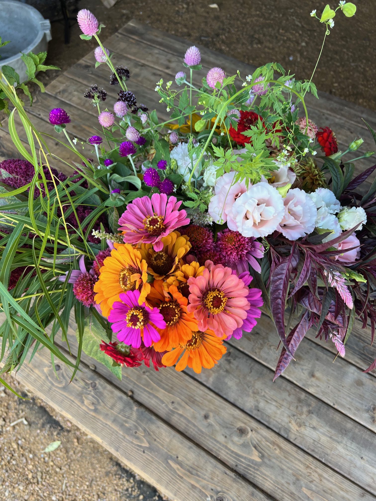 Freshly Cut Stems | Local Flower Farm & Florist in Van Alstyne, TX