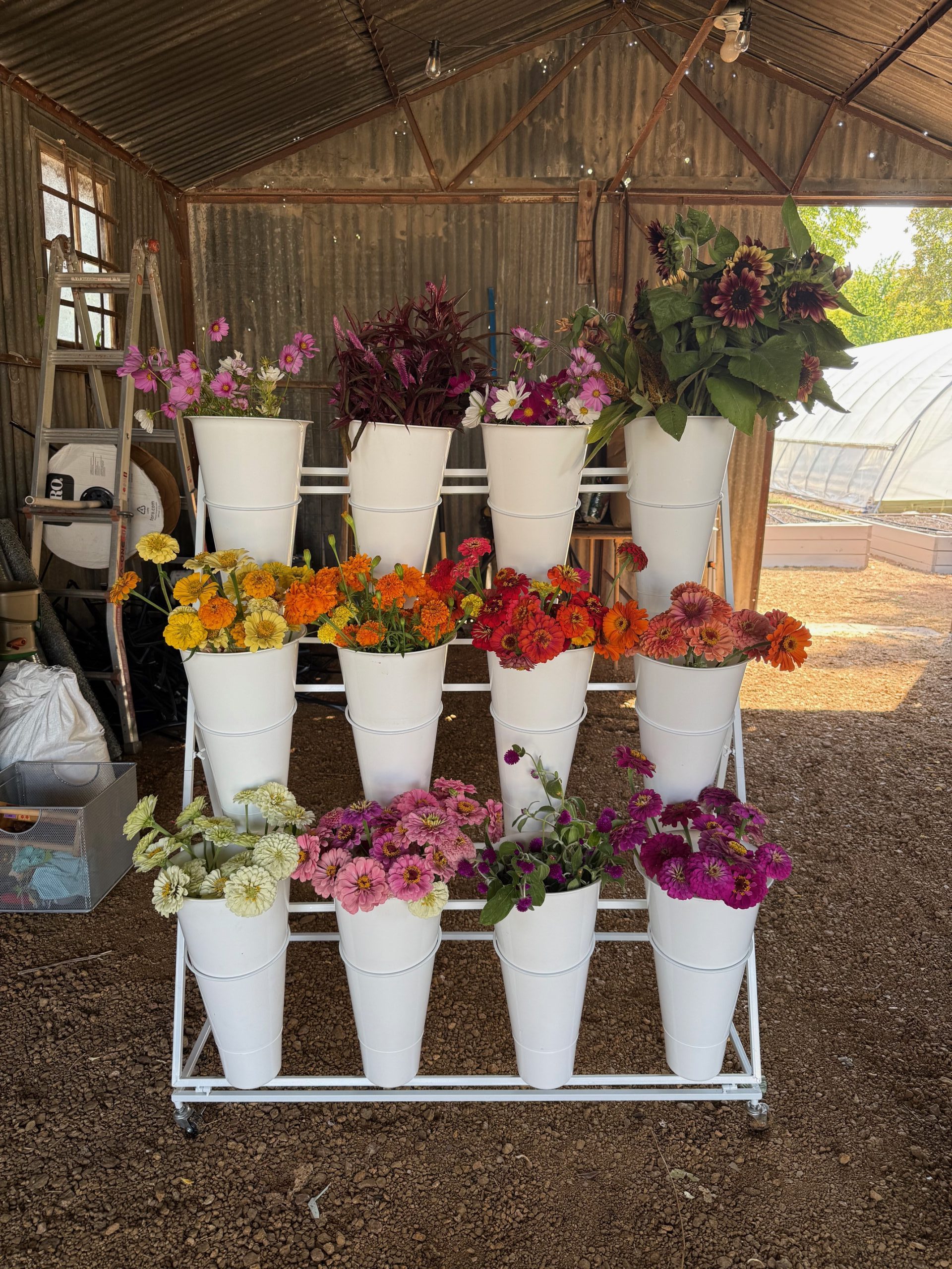 the Stem Bar - FRESHLY CUT STEMS